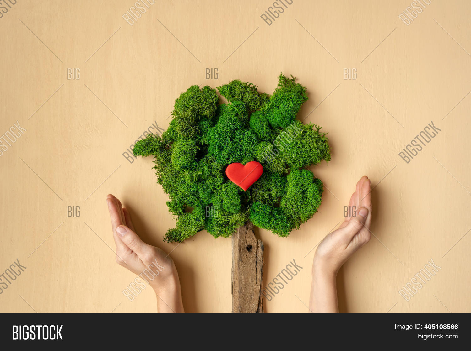 Womans Hands Holding Image & Photo (Free Trial) | Bigstock