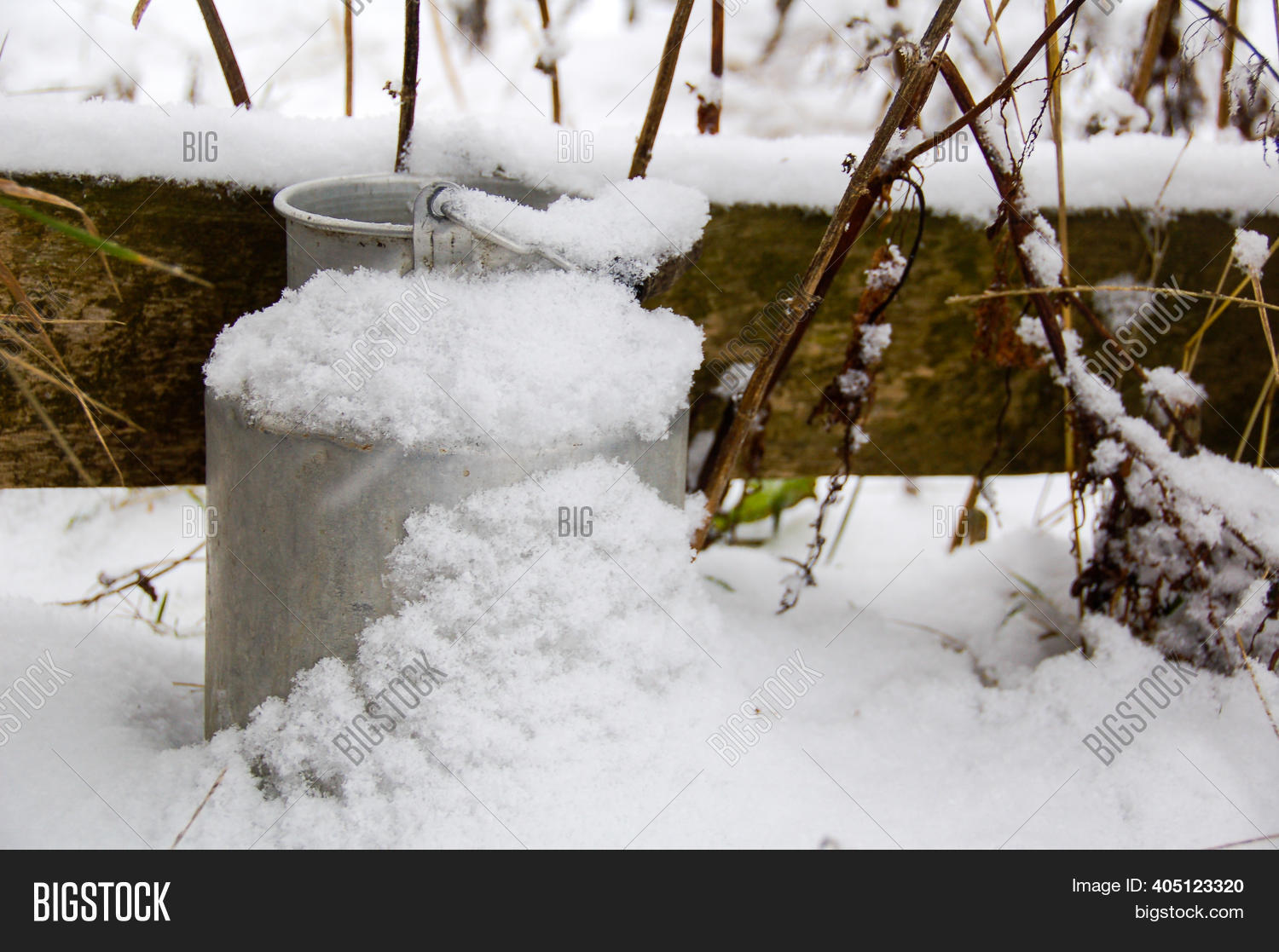 Winter. Aluminum Milk Image & Photo (Free Trial) | Bigstock