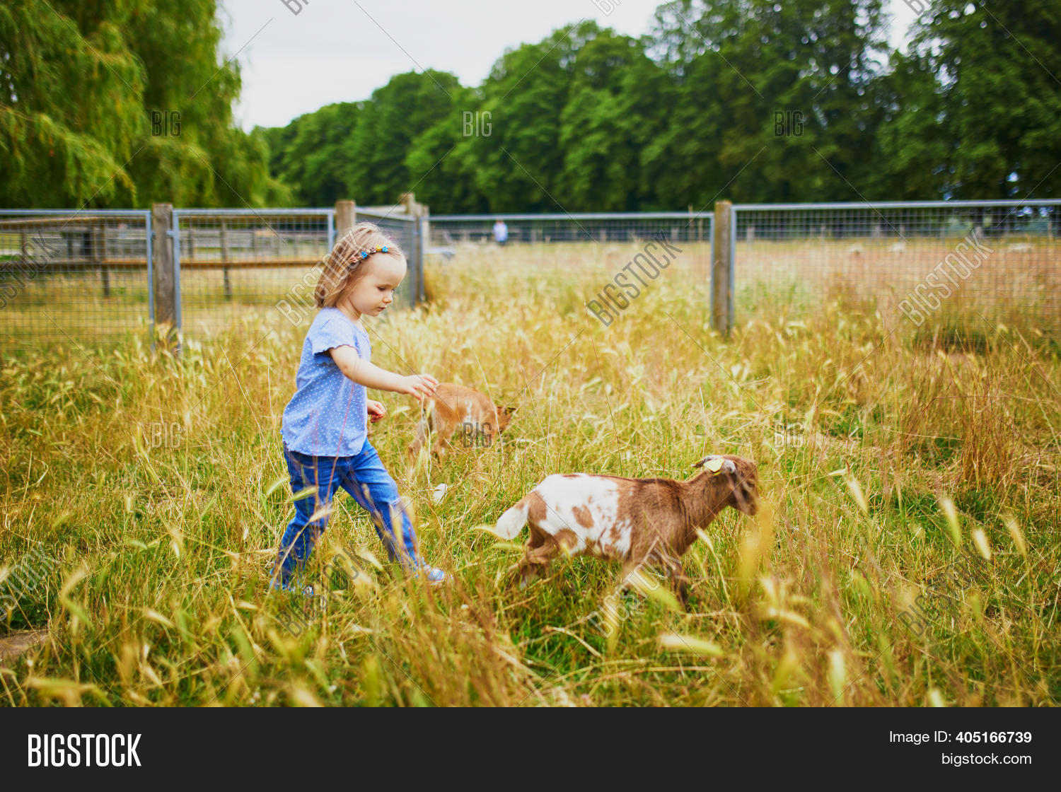 Adorable Toddler Girl Image & Photo (Free Trial) | Bigstock