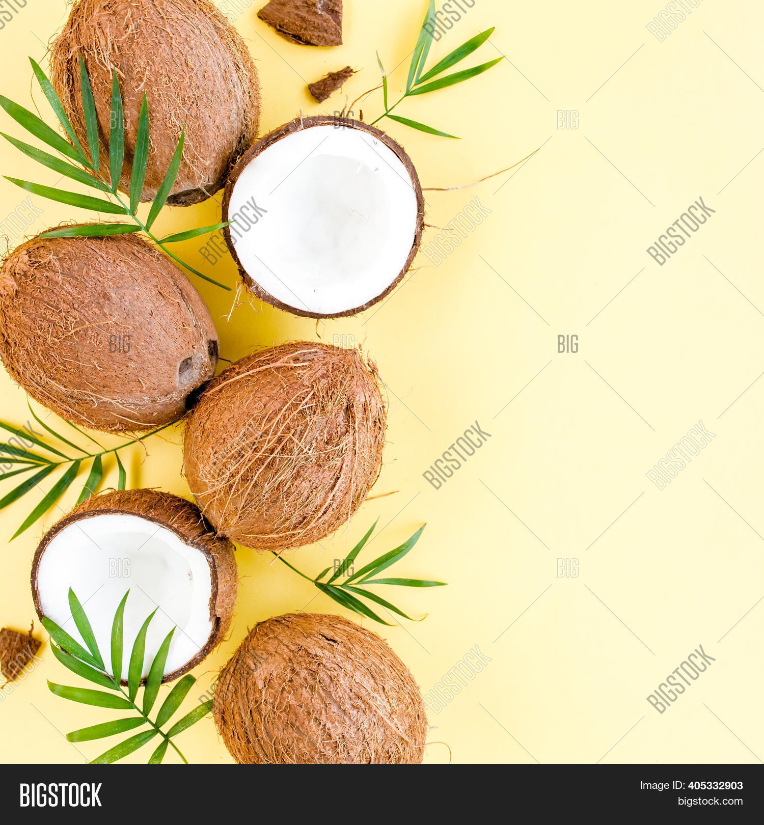 Pattern Coconuts Image & Photo (Free Trial) | Bigstock