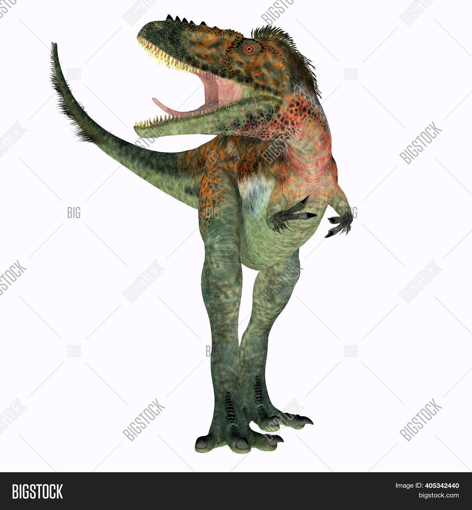 Alioramus Dinosaur Image & Photo (Free Trial) | Bigstock