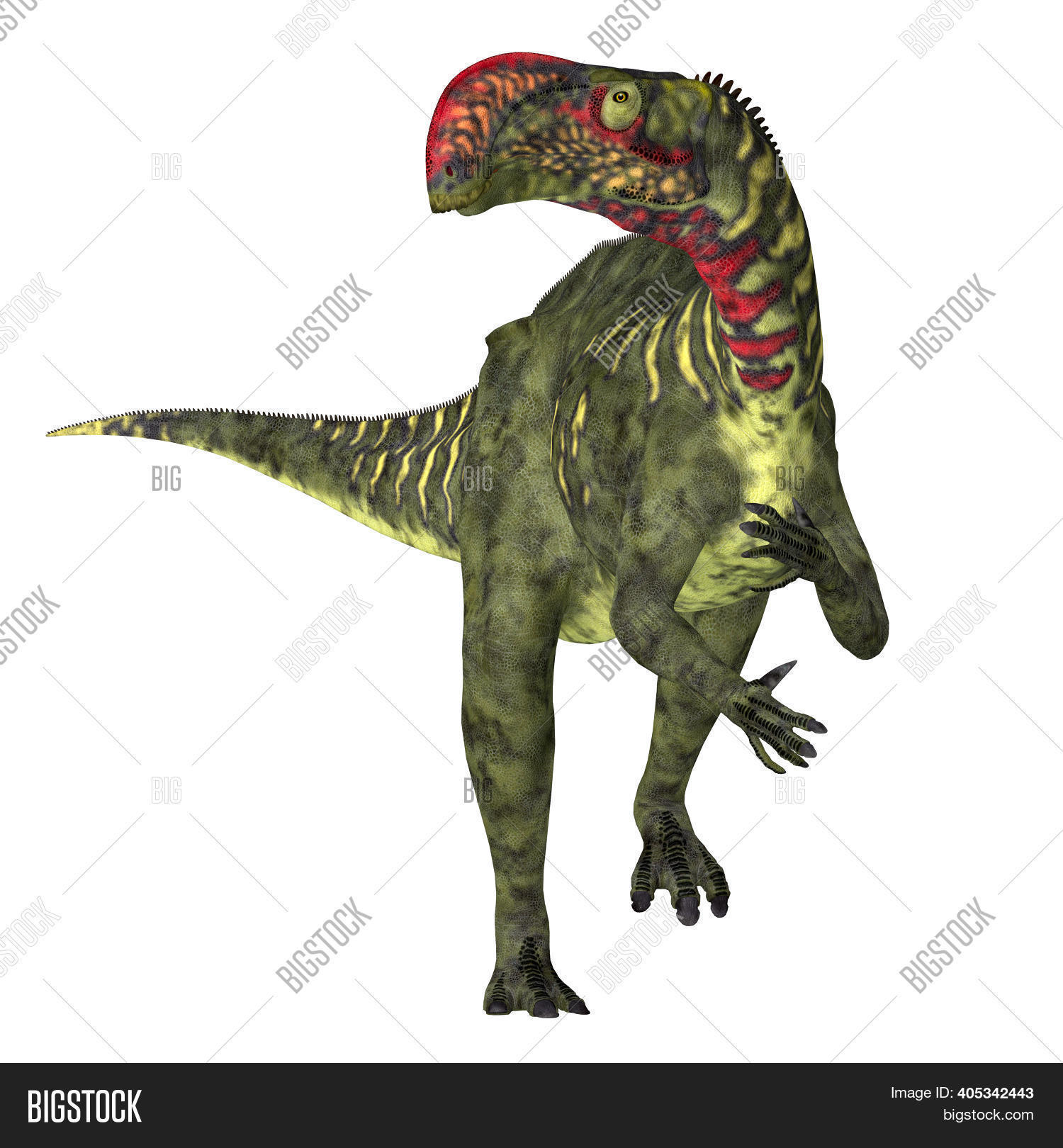Altirhinus Dinosaur Image & Photo (Free Trial) | Bigstock