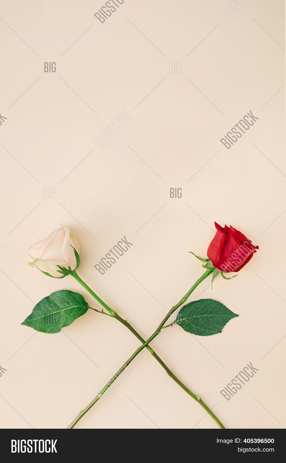 Two Long Stem Roses On Image & Photo (Free Trial) | Bigstock
