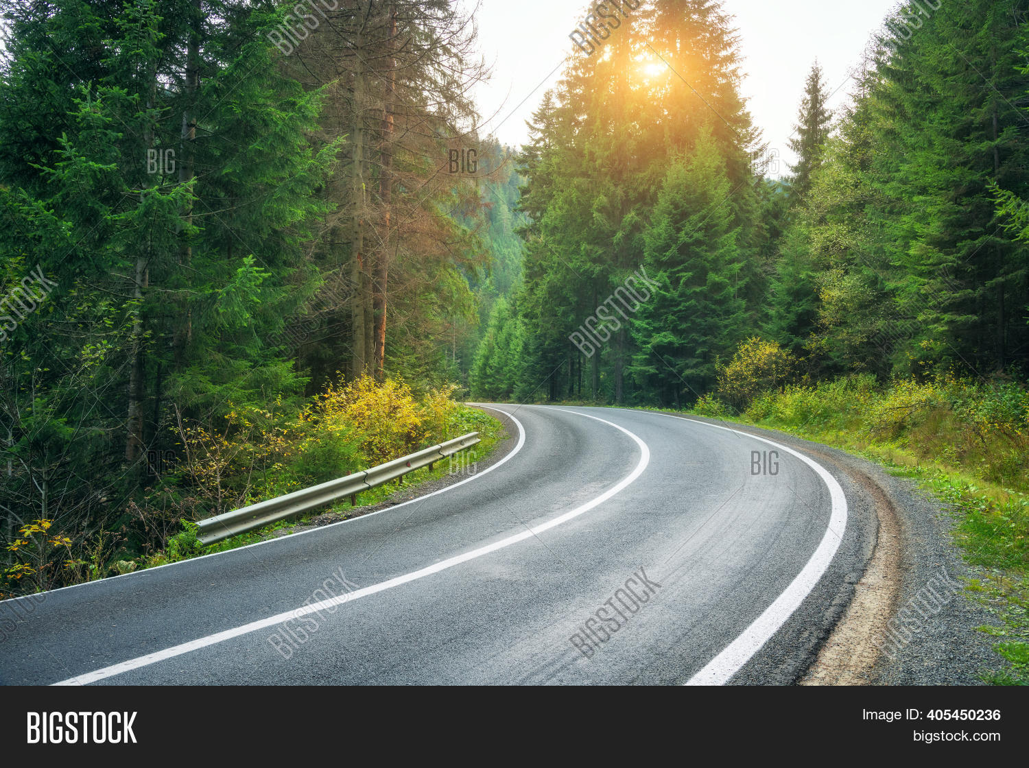 Road Forest Sunset Image & Photo (Free Trial) | Bigstock