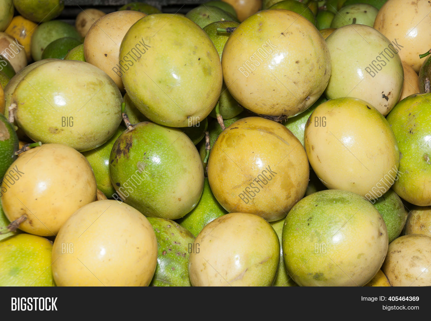 Maracuya Fruit Image & Photo (Free Trial) | Bigstock