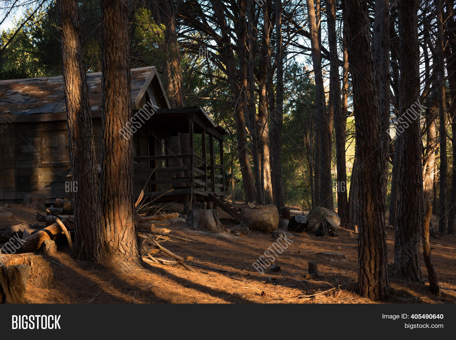 Log Cabin Forest On Image & Photo (Free Trial) | Bigstock