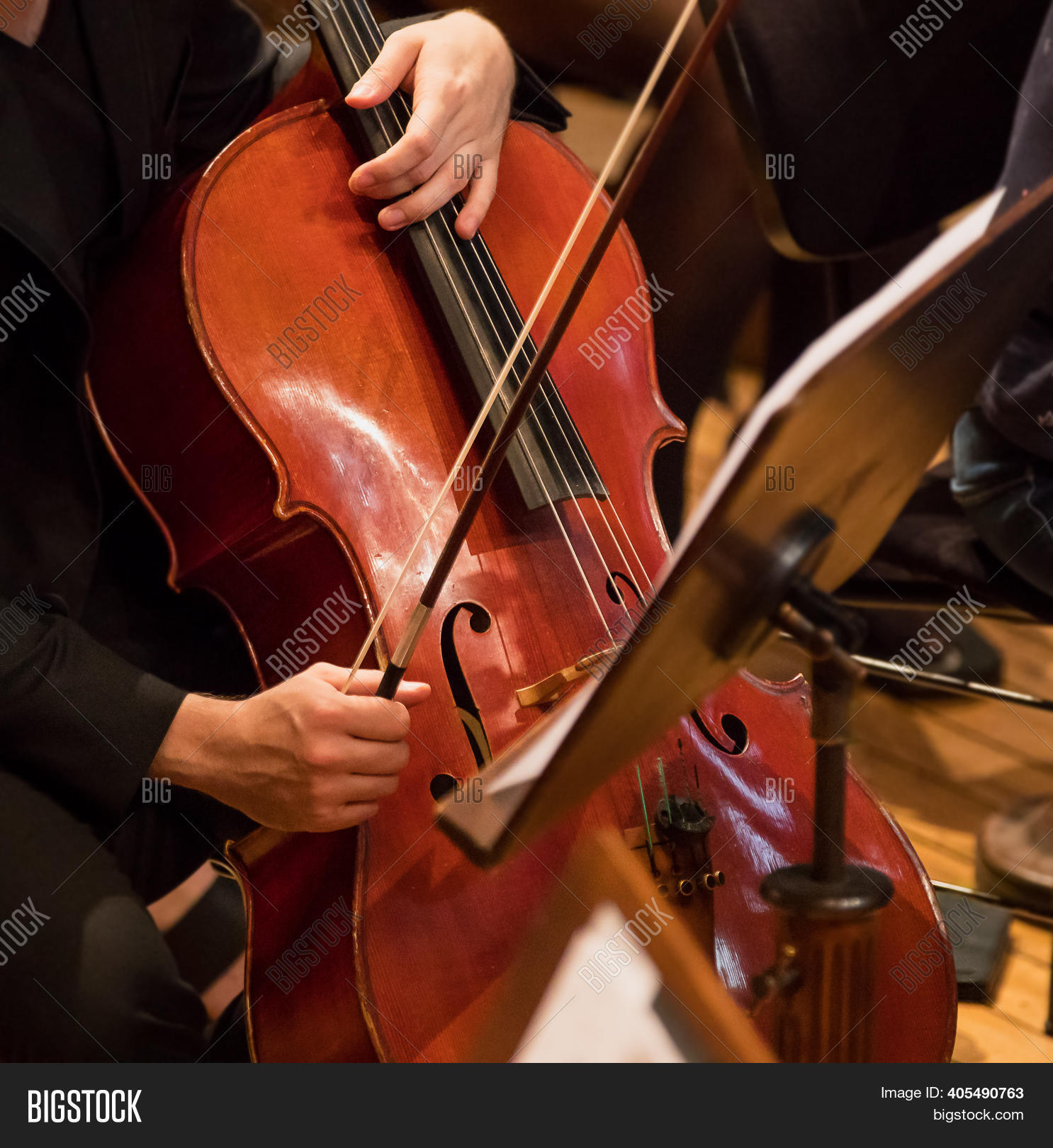 Contrabass Image & Photo (Free Trial) | Bigstock