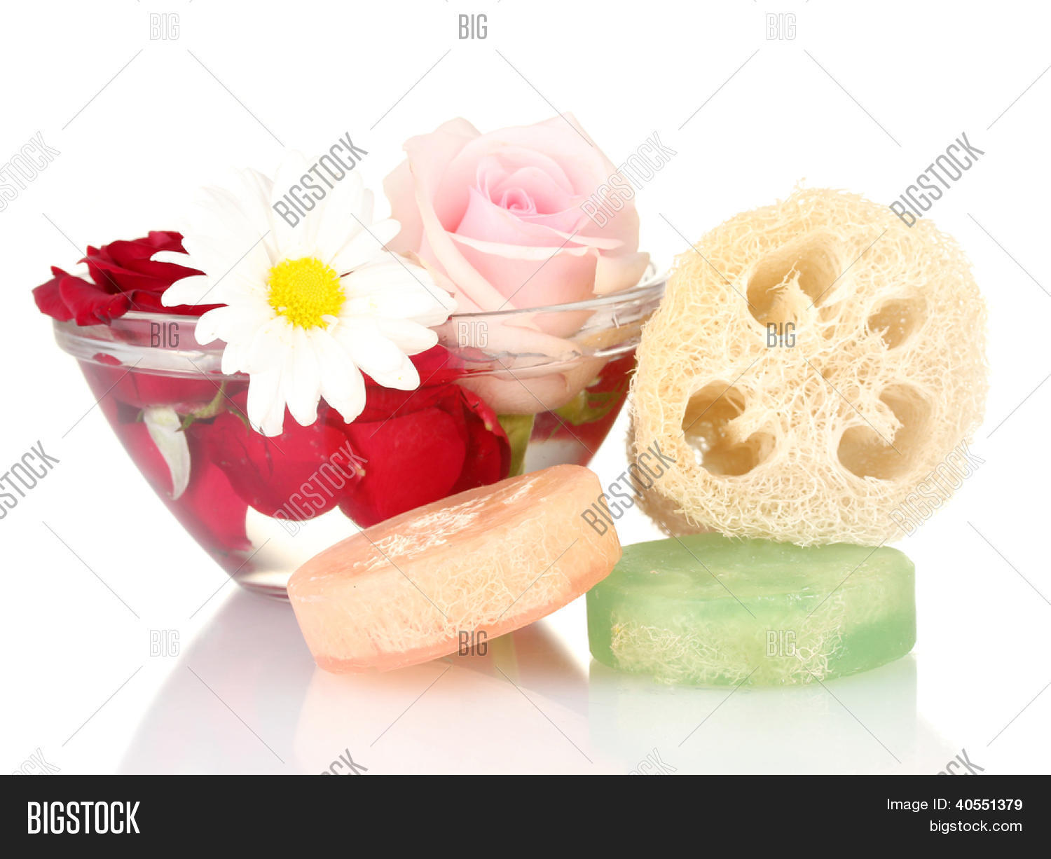 Loofah Isolated On Image & Photo (Free Trial) | Bigstock