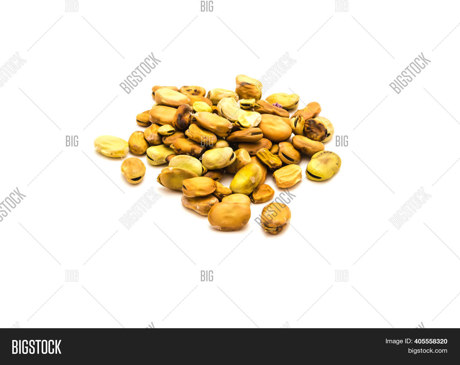 ภาพและภาพถ่าย (ทดลองใช้ฟรี) | Bigstock