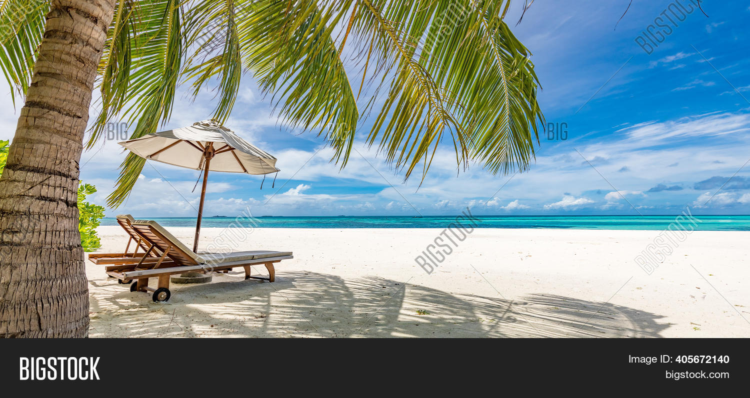 Beautiful Tropical Image & Photo (Free Trial) | Bigstock