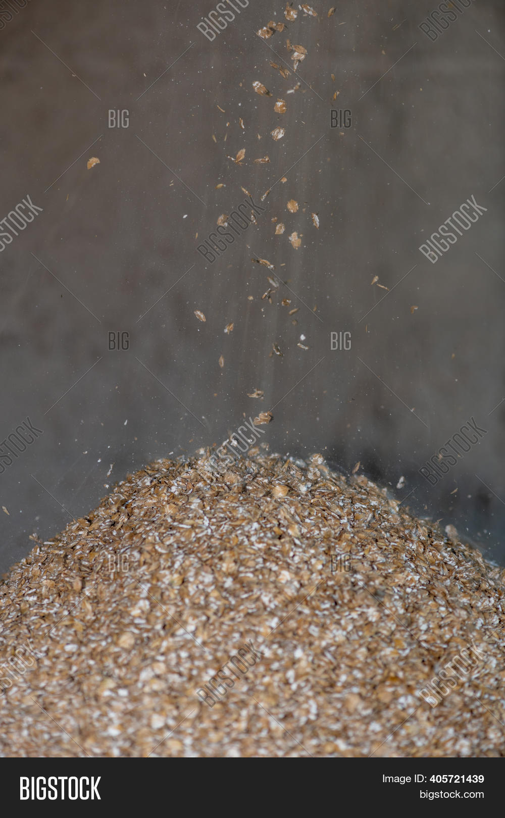 Ground Barley (hordeum Image & Photo (Free Trial) | Bigstock