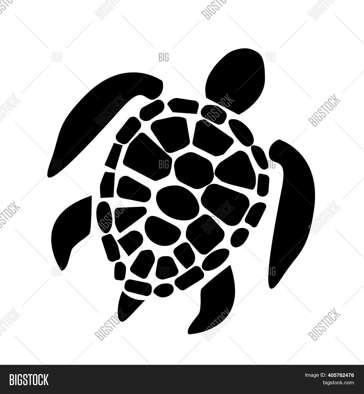 Sea Turtle Icon On Image & Photo (Free Trial) | Bigstock