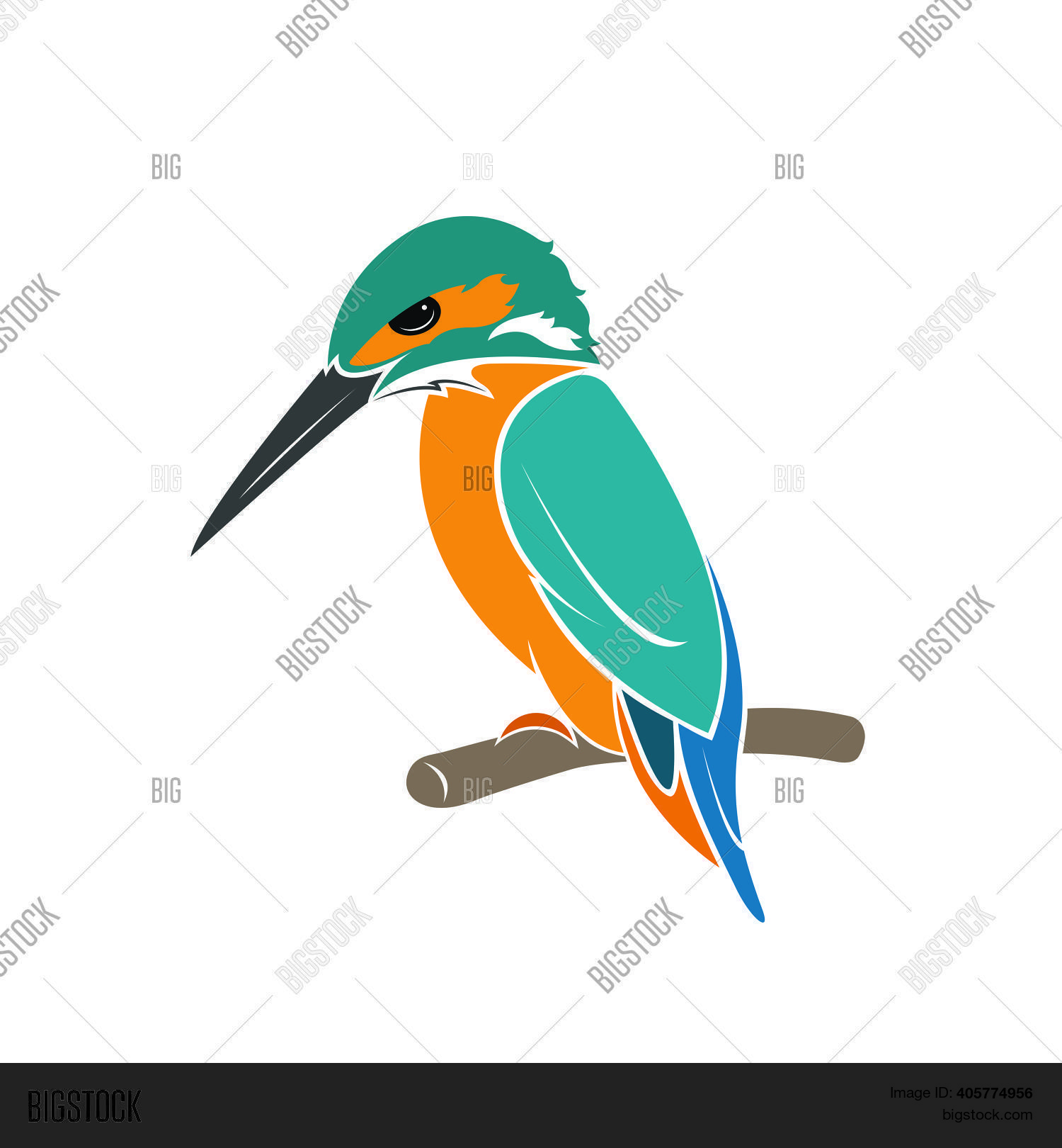 Vector Kingfisher Vector & Photo (Free Trial) | Bigstock