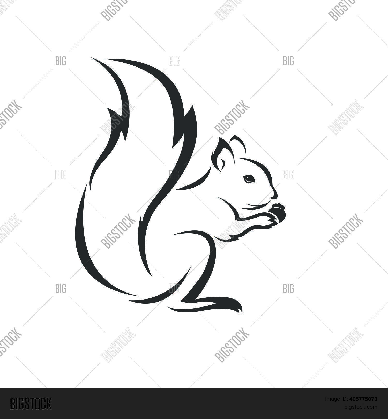 Vector Squirrel Vector & Photo (Free Trial) | Bigstock