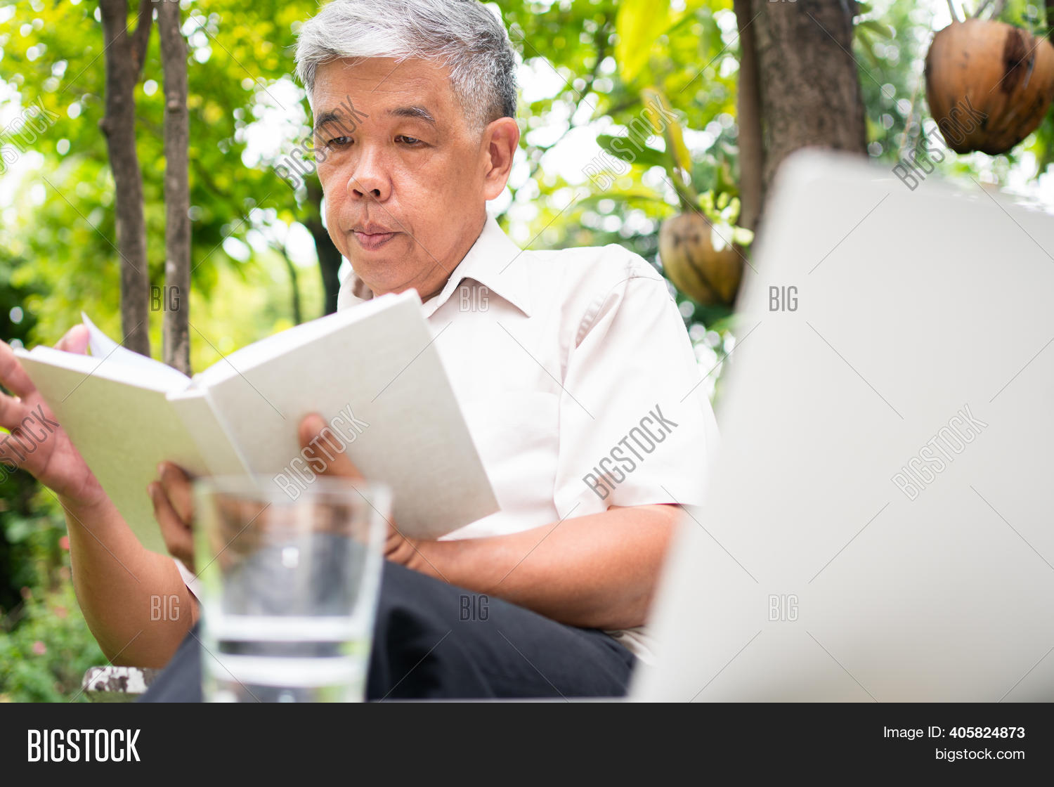 Senior Old Man Reading Image & Photo (Free Trial) | Bigstock