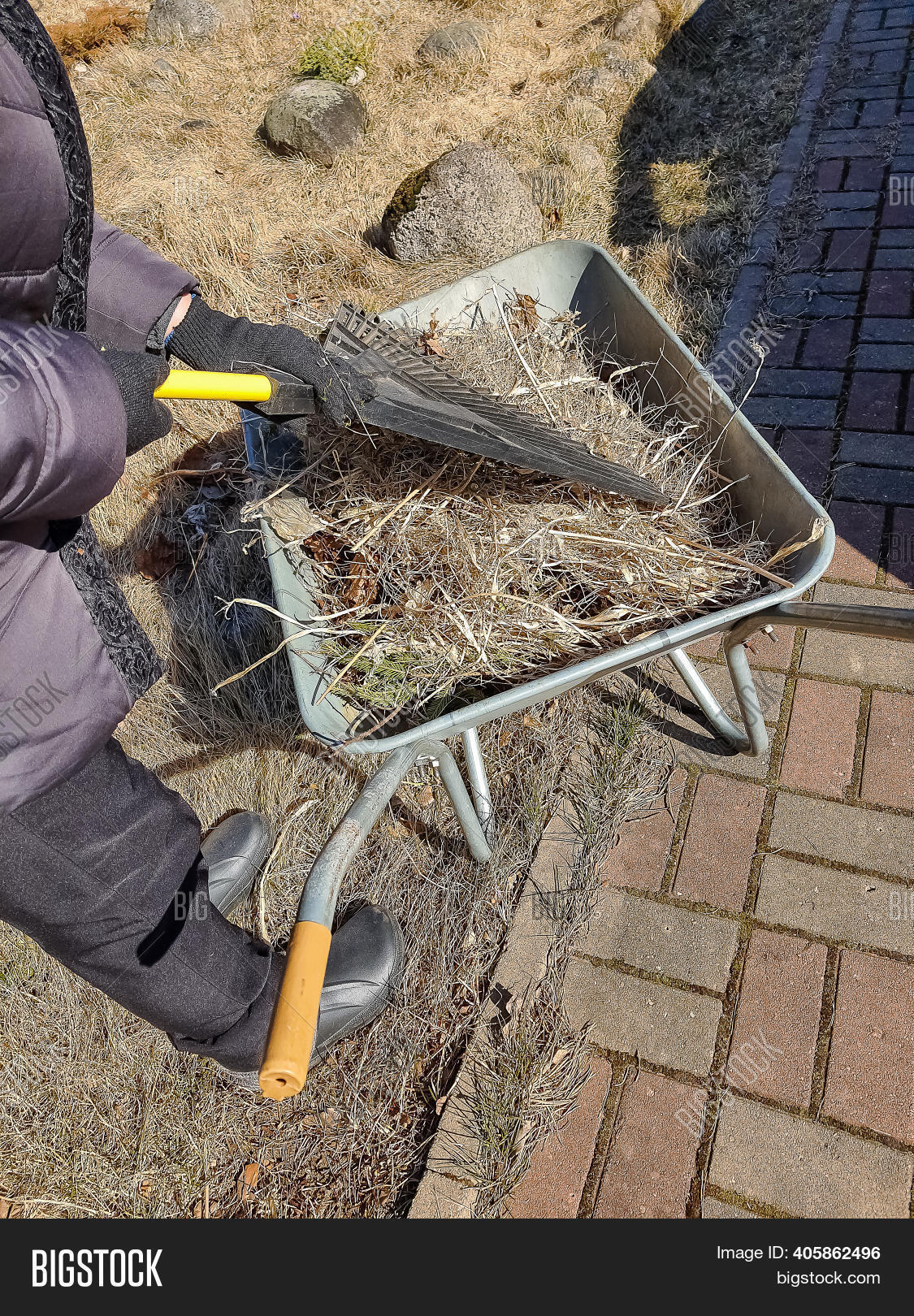 Person Raking Fallen Image & Photo (Free Trial) | Bigstock