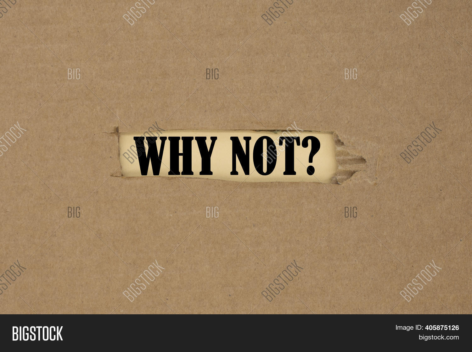 Why Not Question - Image & Photo (Free Trial) | Bigstock