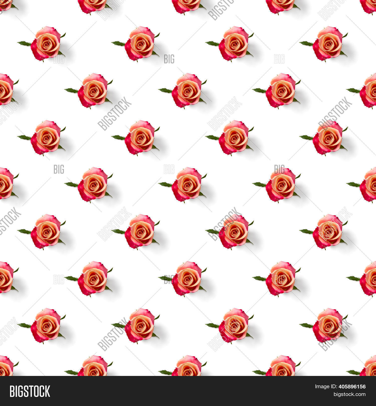 Rosebud Seamless Image & Photo (Free Trial) | Bigstock