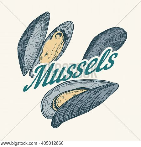 Mussels Badge Logo Vector & Photo (Free Trial) | Bigstock