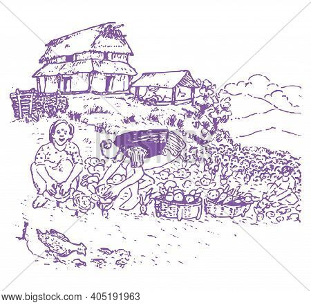 Sketch Farmer Working Image & Photo (Free Trial) | Bigstock