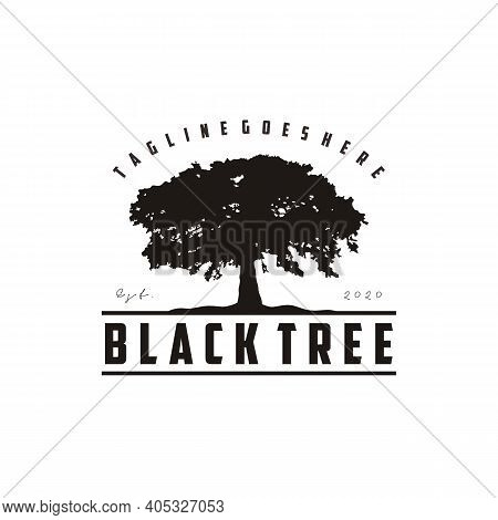 Vintage Old Oak Maple Vector & Photo (Free Trial) | Bigstock