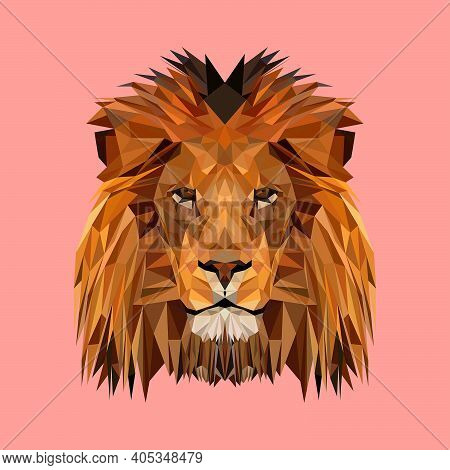 Symmetry Face Images, Illustrations & Vectors (Free) - Bigstock