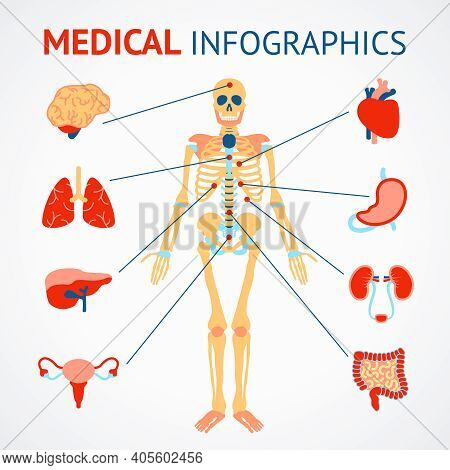 Medical Infographic Vector & Photo (Free Trial) | Bigstock
