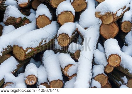 Stack Firewood Covered Image & Photo (Free Trial) | Bigstock