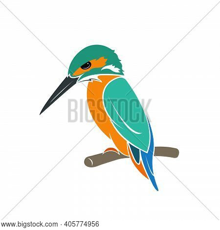 Vector Kingfisher Vector & Photo (Free Trial) | Bigstock