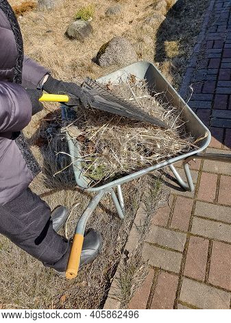 Person Raking Fallen Image & Photo (Free Trial) | Bigstock