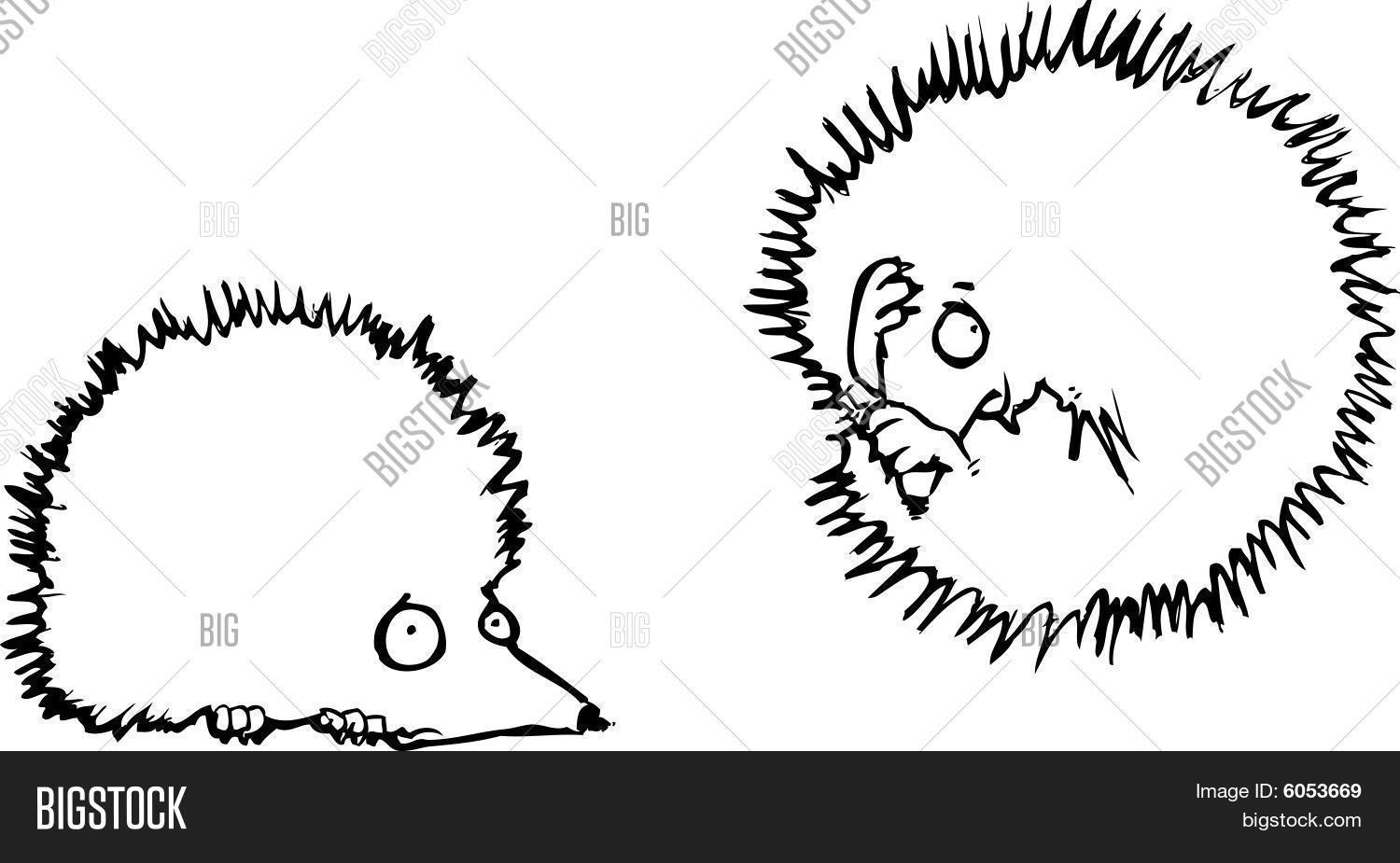 Hedgehog Line Drawing Vector & Photo (Free Trial) | Bigstock