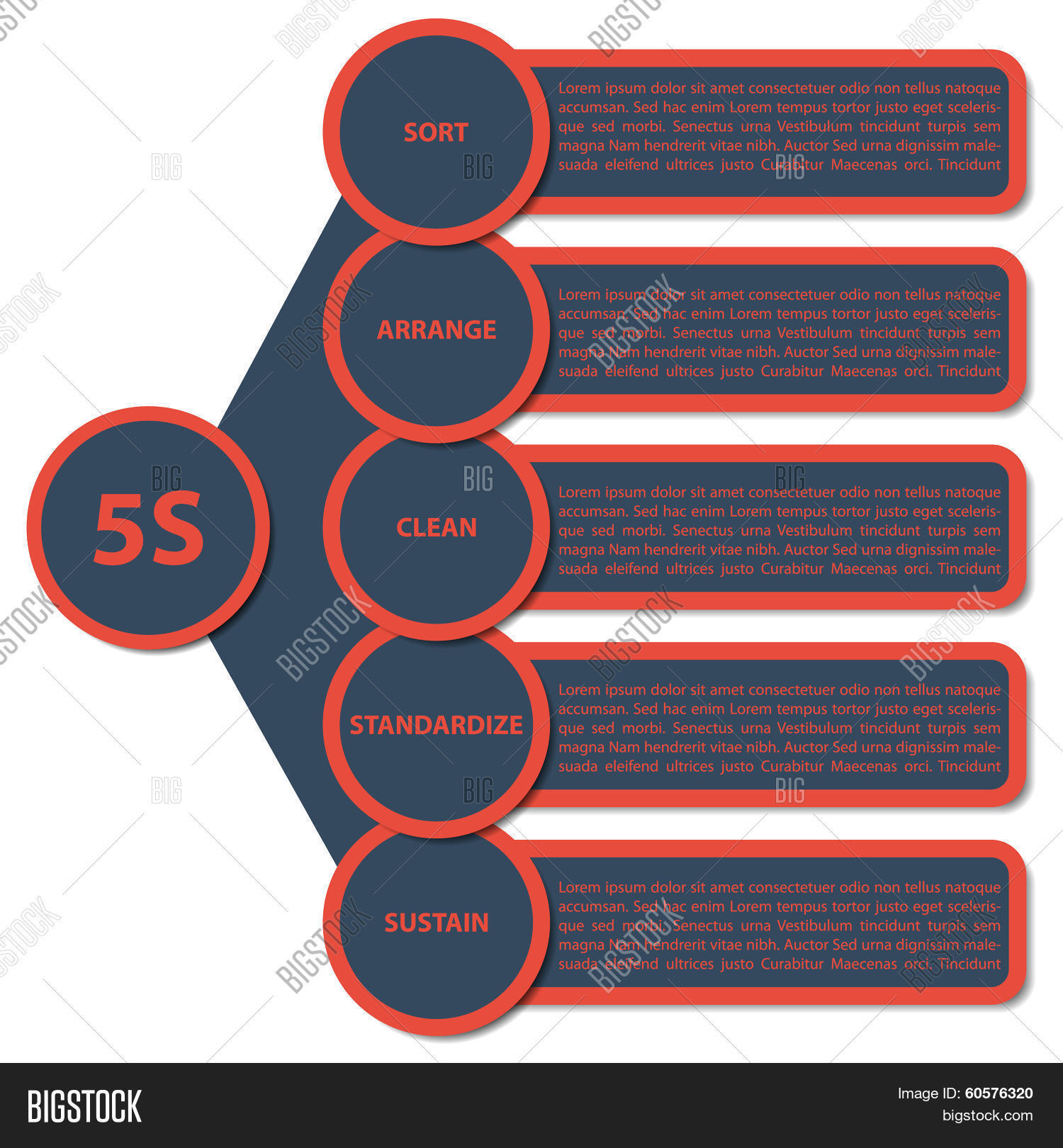 5S Strategy Diagram Vector & Photo (Free Trial) | Bigstock