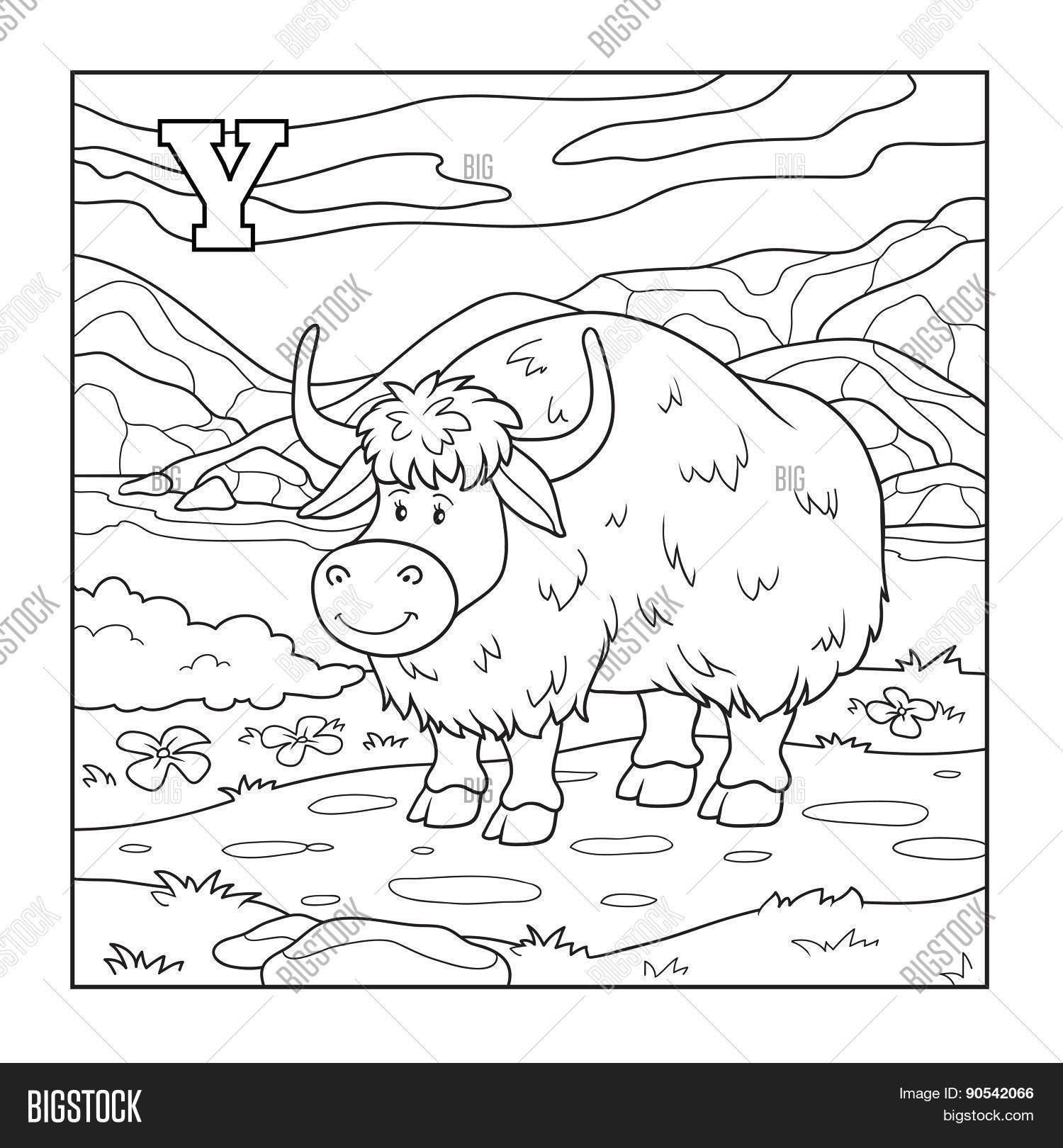 Coloring Book (yak), Vector & Photo (Free Trial) | Bigstock