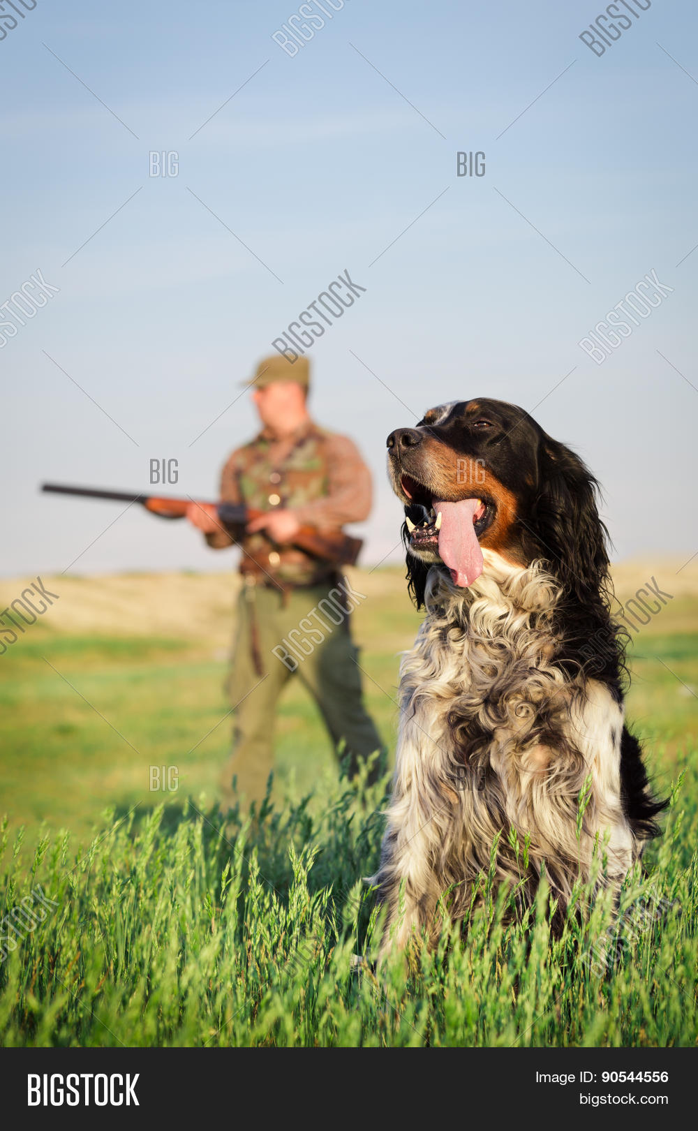 Hunter Dog Aiming His Image & Photo (Free Trial) | Bigstock