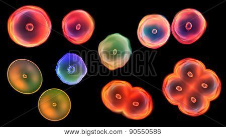 Color Cells Type Image & Photo (Free Trial) | Bigstock
