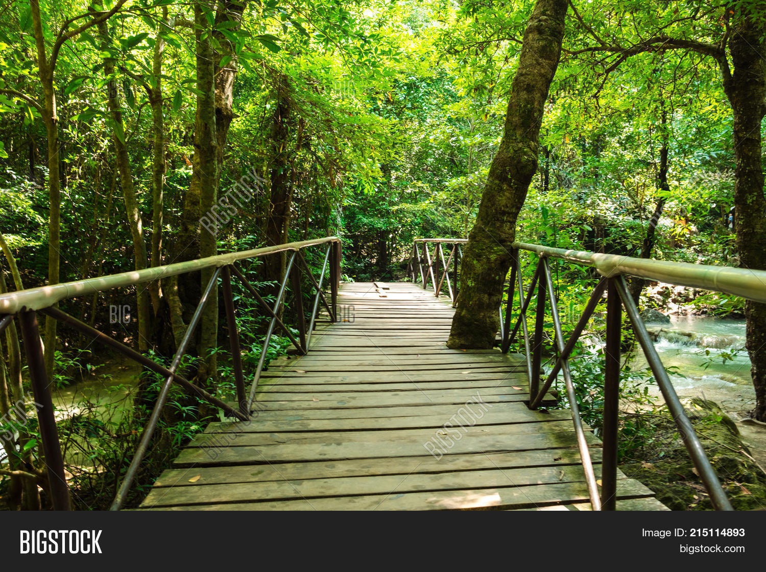 Wooden Bridge Among Image & Photo (Free Trial) | Bigstock