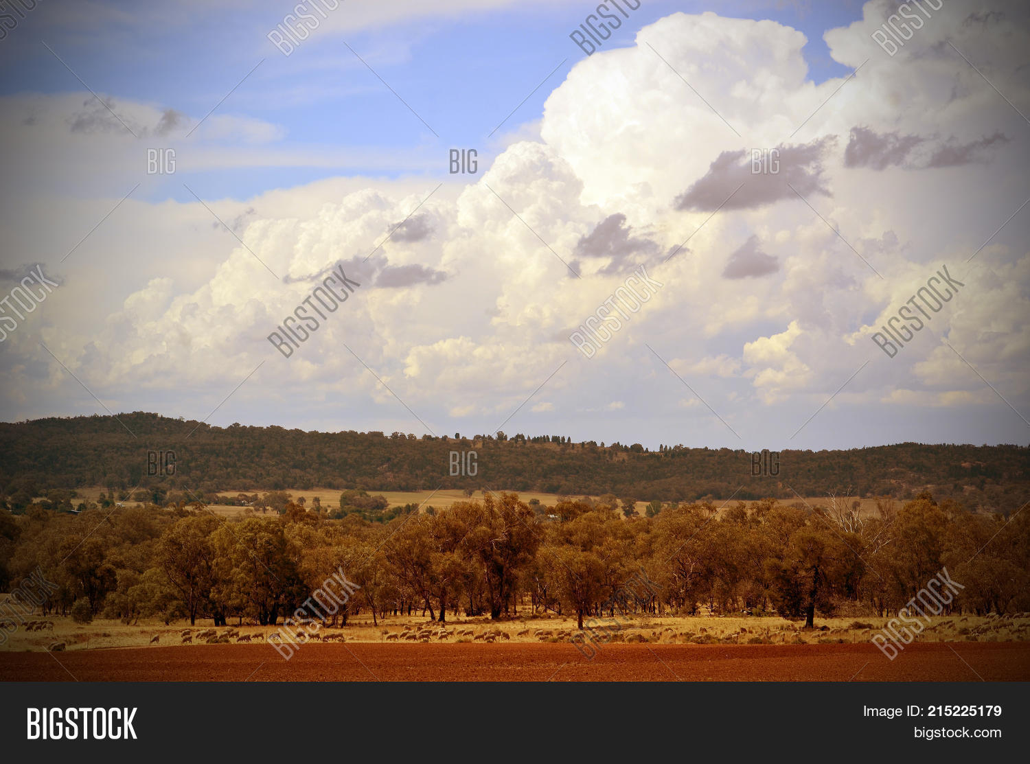 Rural Landscape Scene Image & Photo (Free Trial) | Bigstock