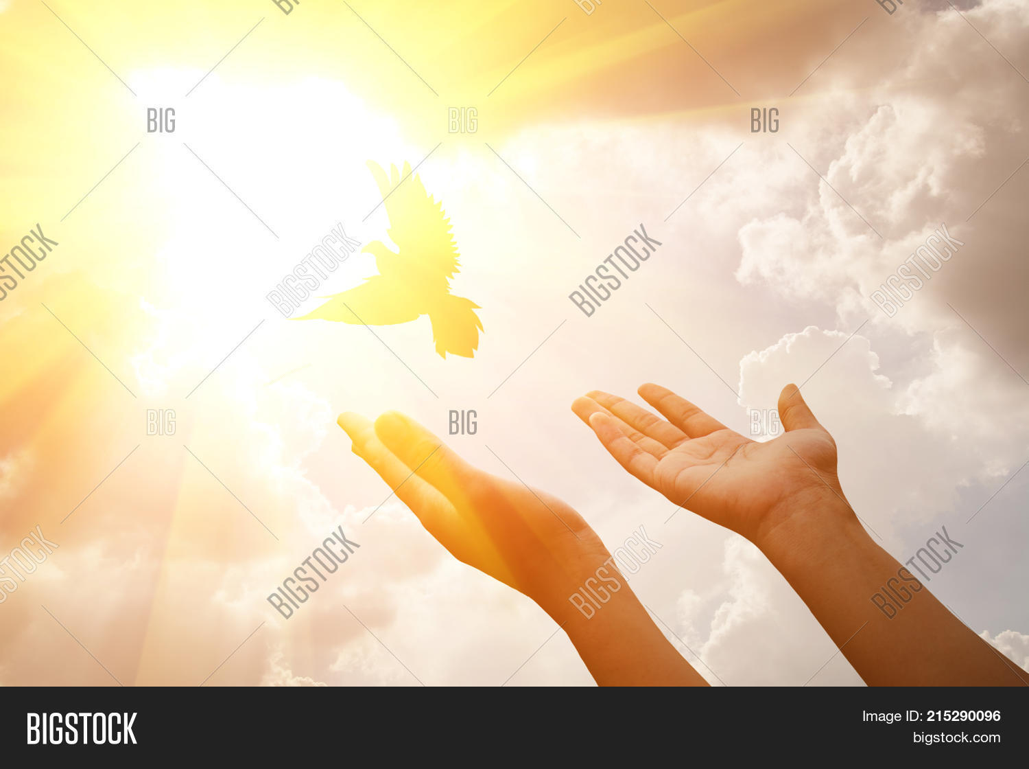 Woman Praying Free Image & Photo (Free Trial) | Bigstock