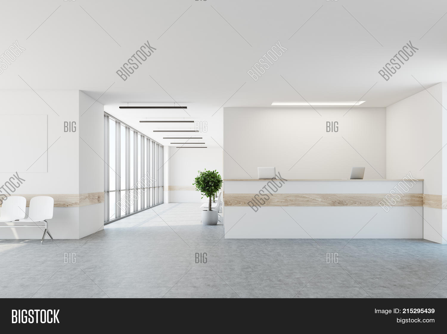 White Reception Image & Photo (Free Trial) | Bigstock