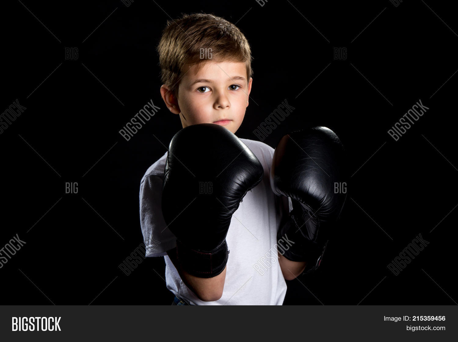 Little Boxer Portrait Image & Photo (Free Trial) | Bigstock