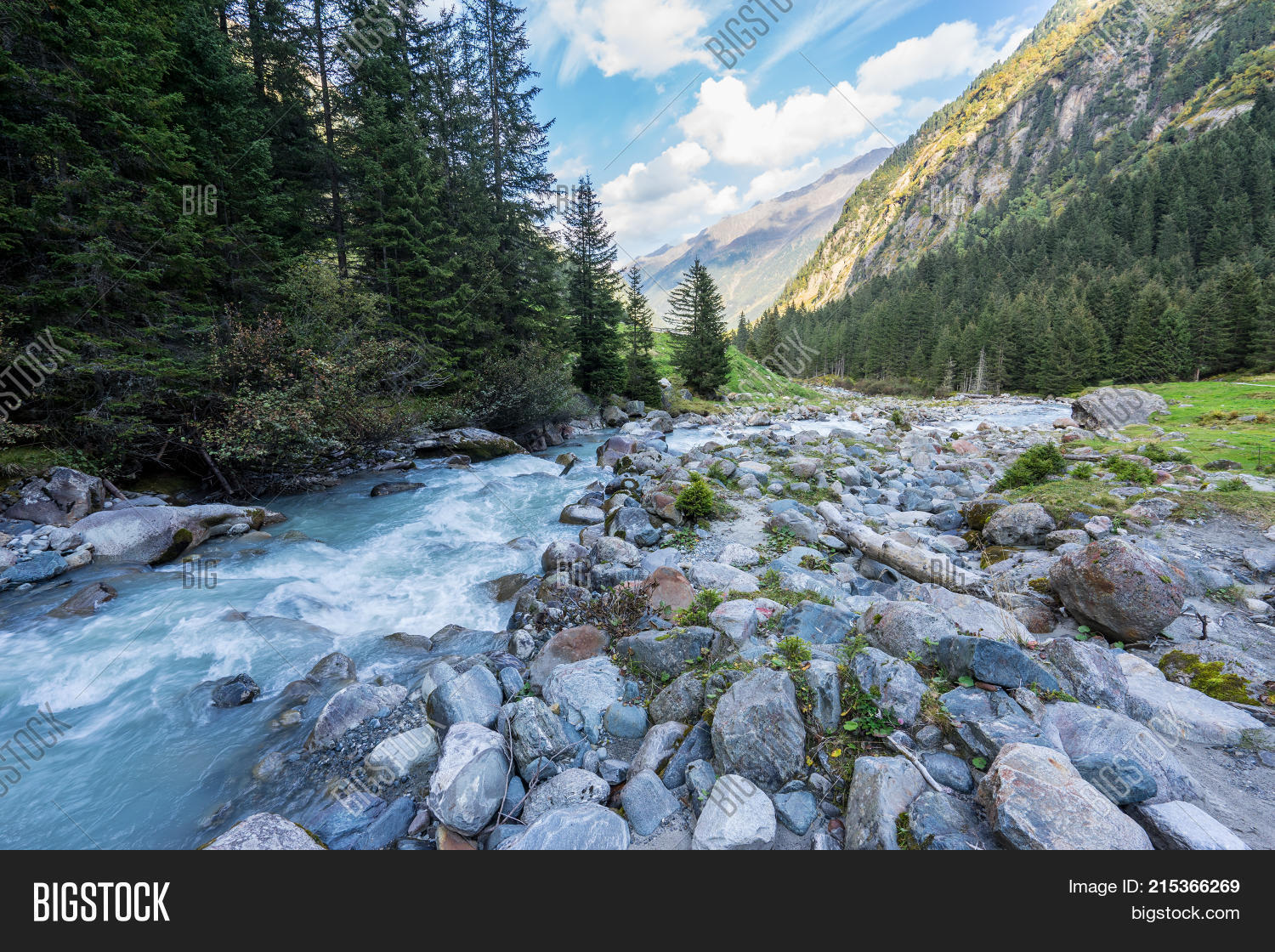 Nature Trees River Mountain