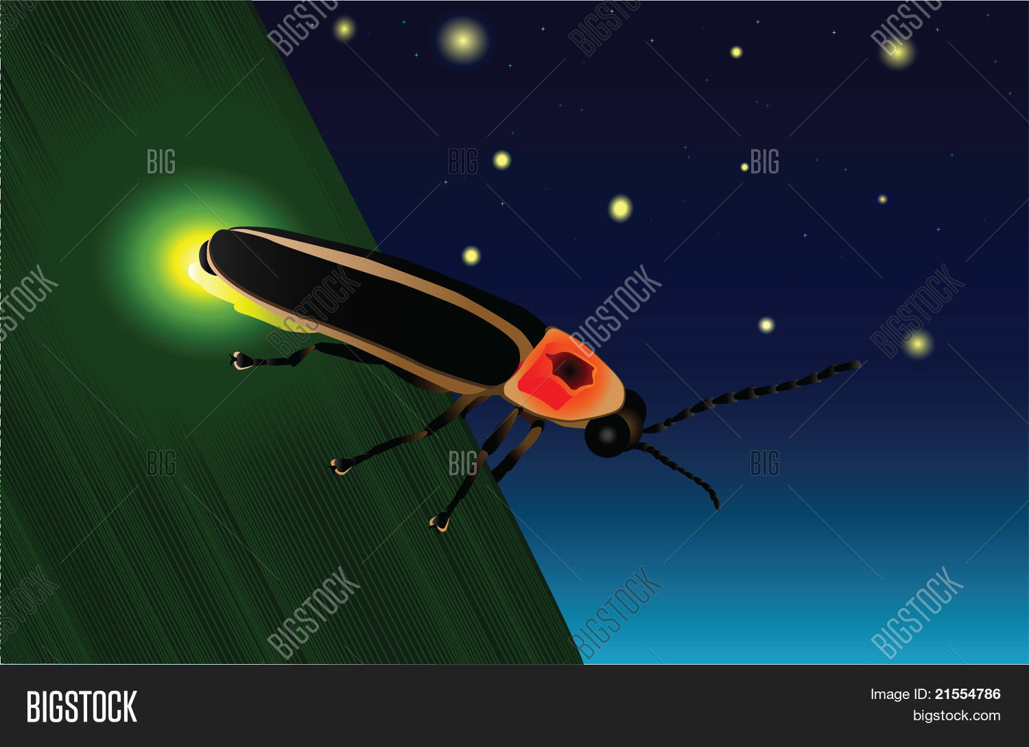 Glowing Firefly Vector & Photo (Free Trial) | Bigstock