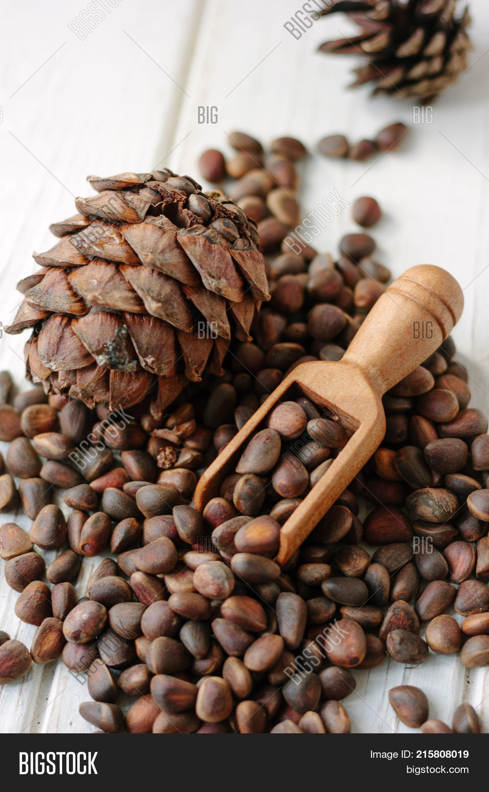 Cedar Nuts Wooden Image & Photo (Free Trial) | Bigstock