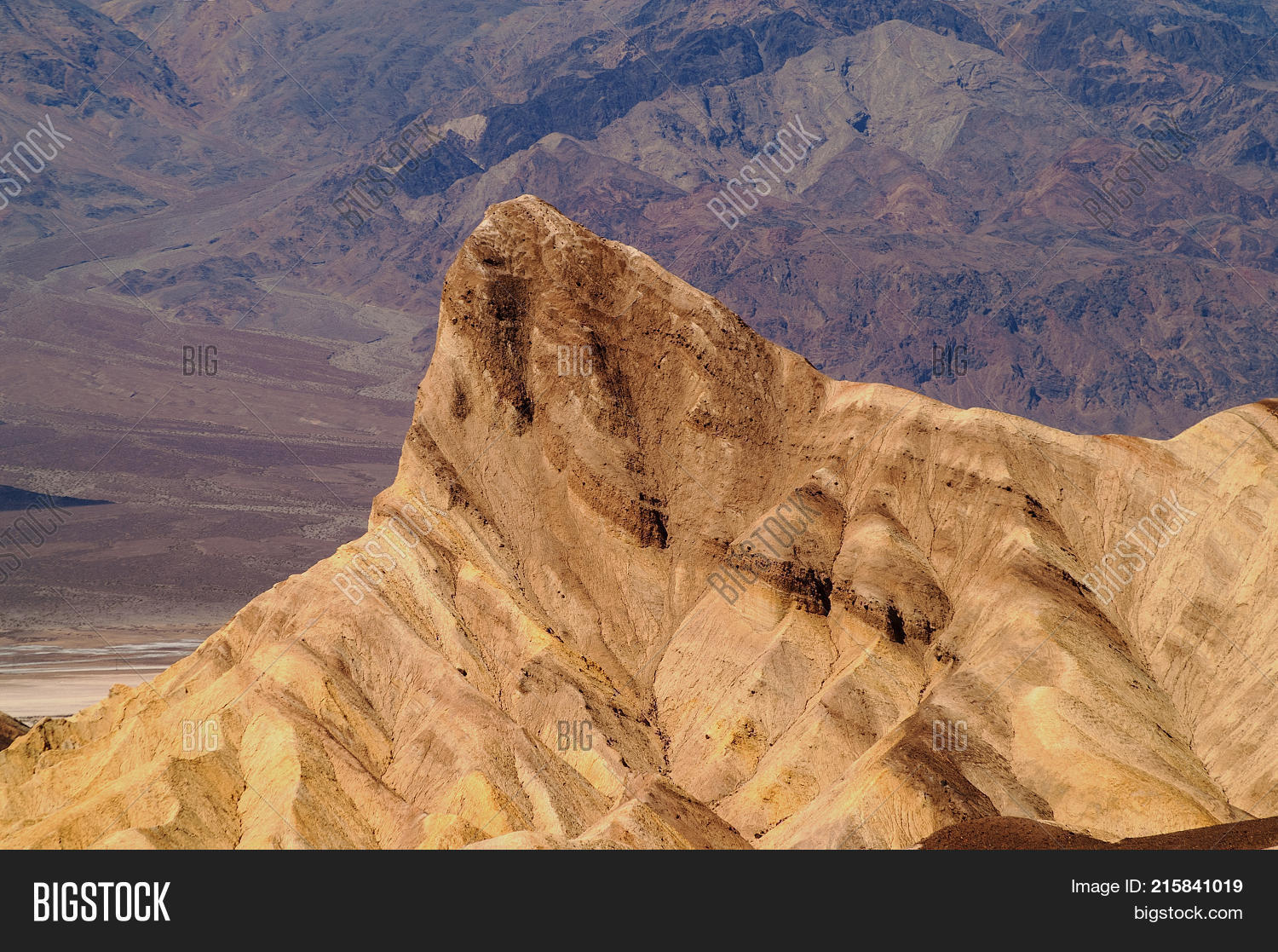 Aptly Named Manly Image & Photo (Free Trial) | Bigstock