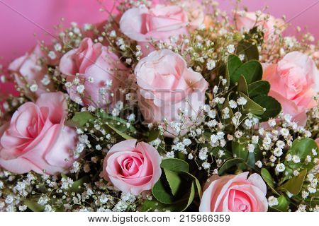 Candy Bar. Cage Image & Photo (Free Trial) | Bigstock