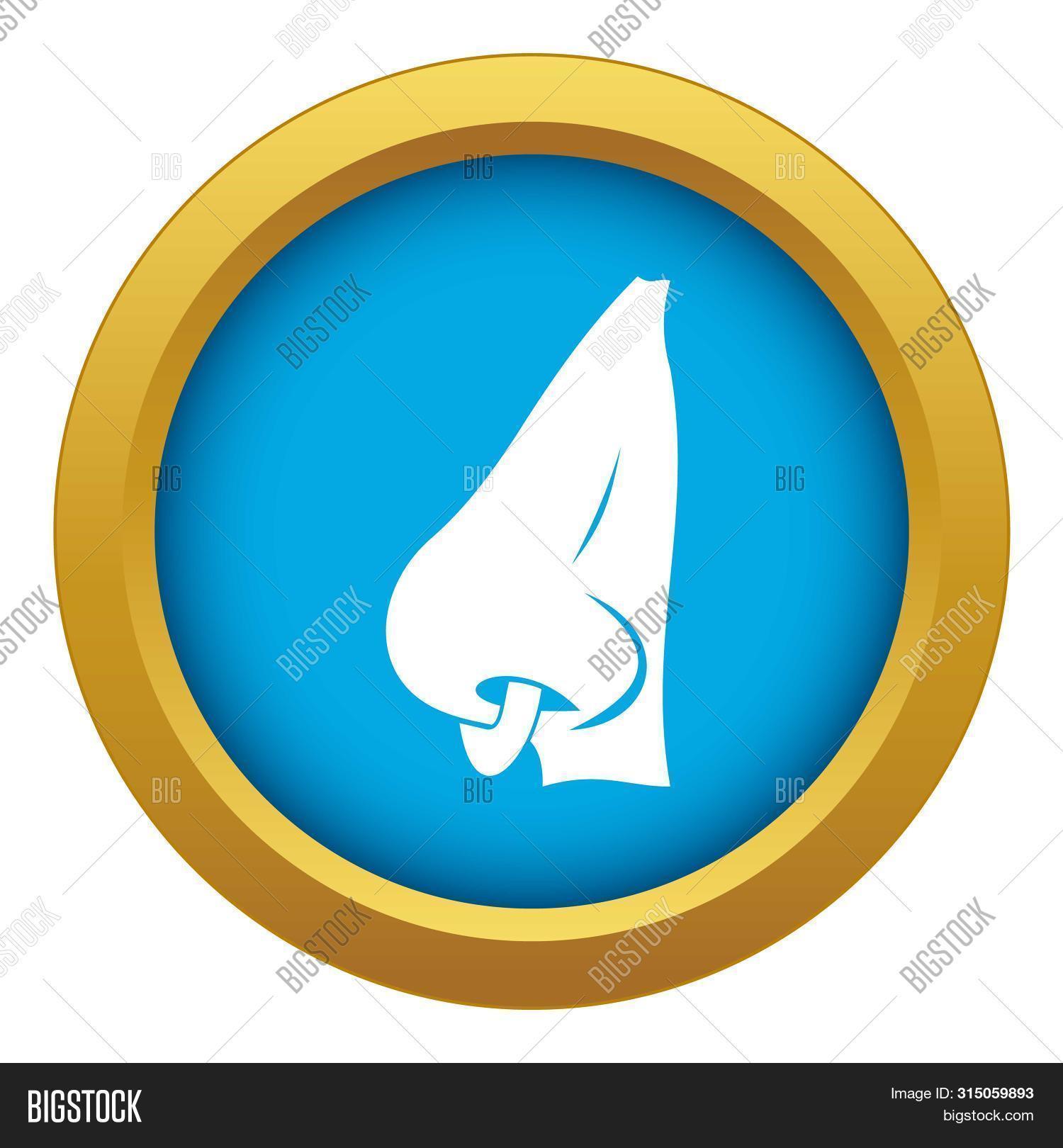 Human Nose Piercing Image & Photo (Free Trial) | Bigstock