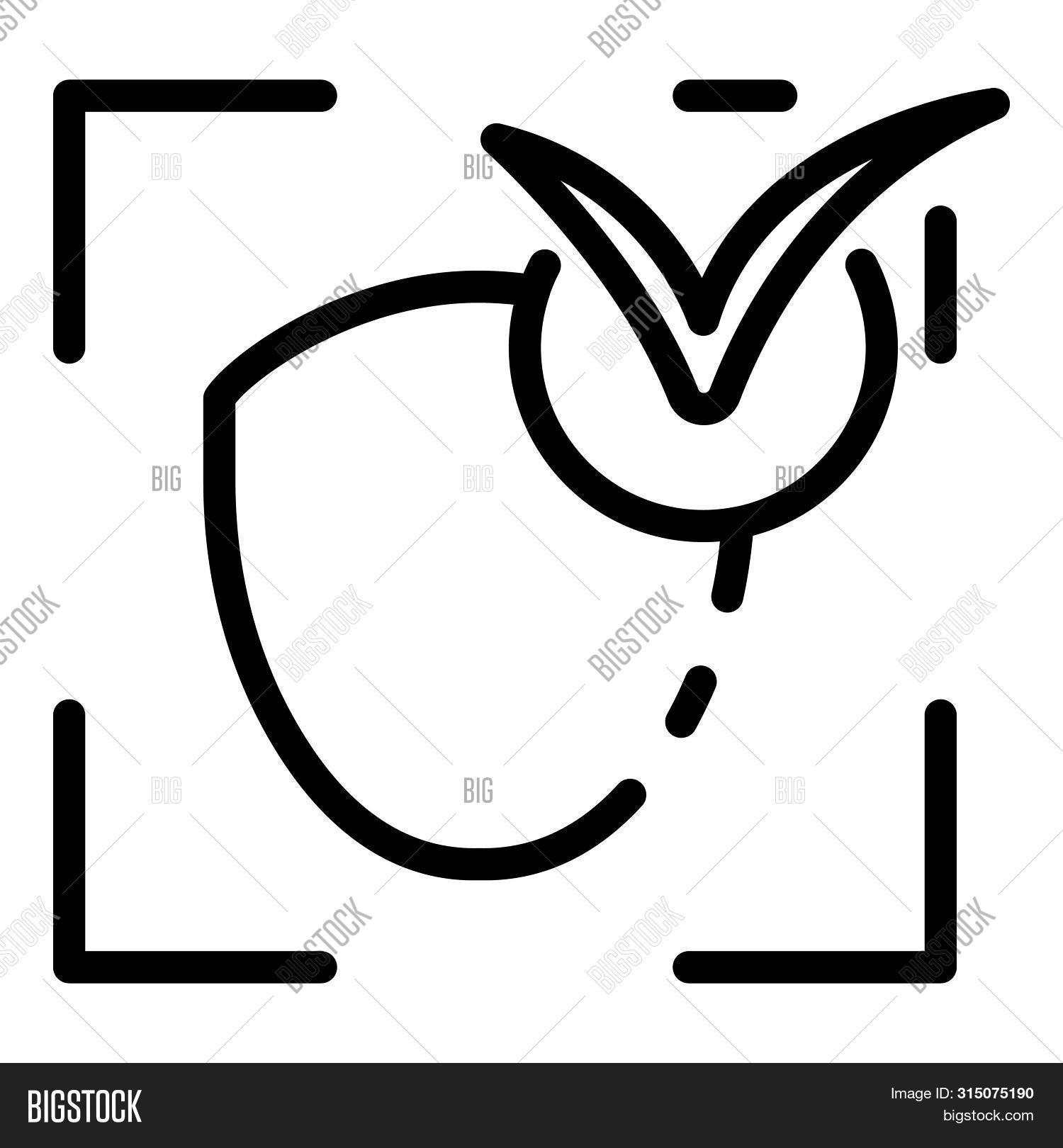 Face Recognized Icon. Image & Photo (Free Trial) | Bigstock