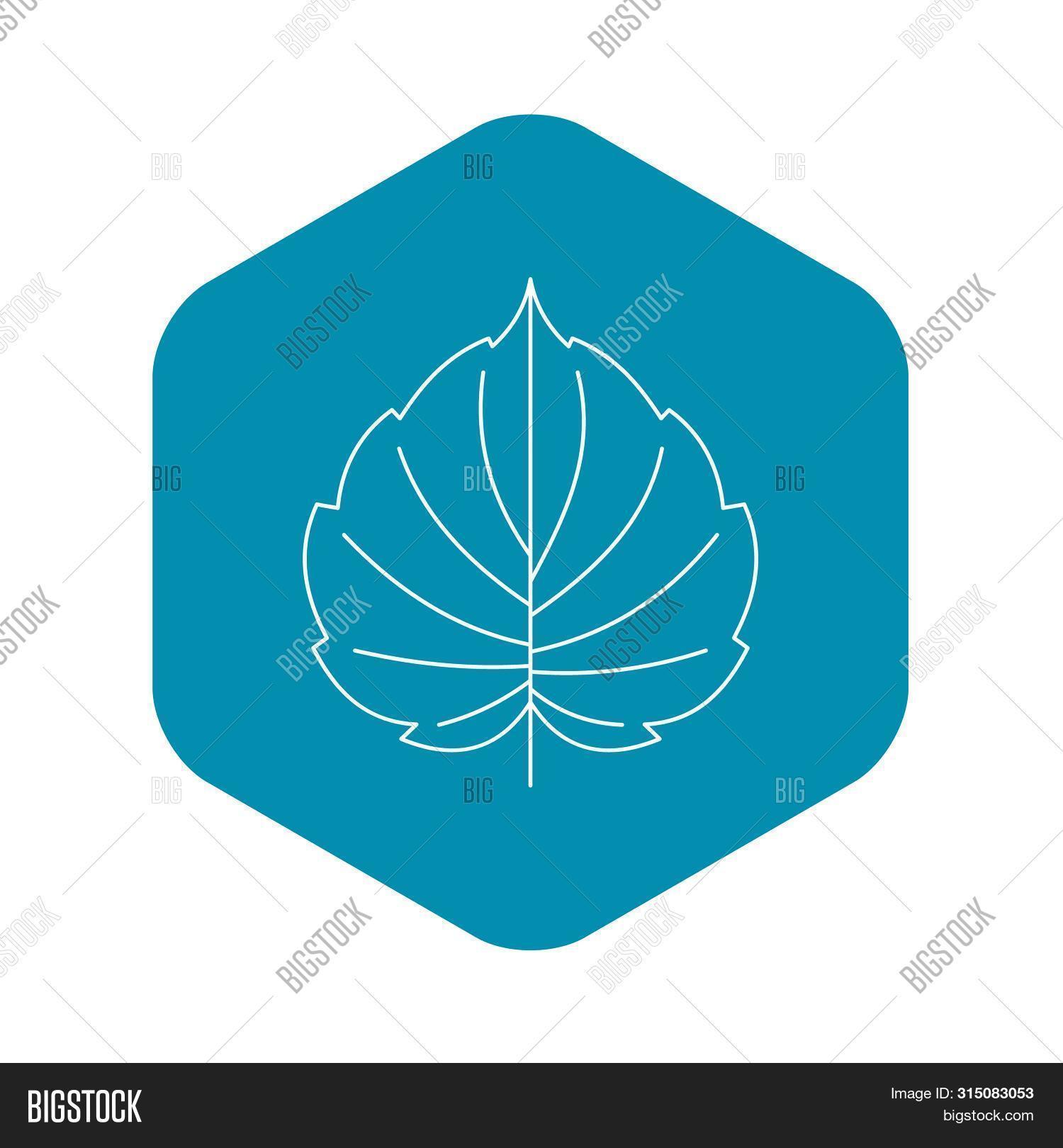 Hazel Leaf Icon. Image & Photo (Free Trial) | Bigstock