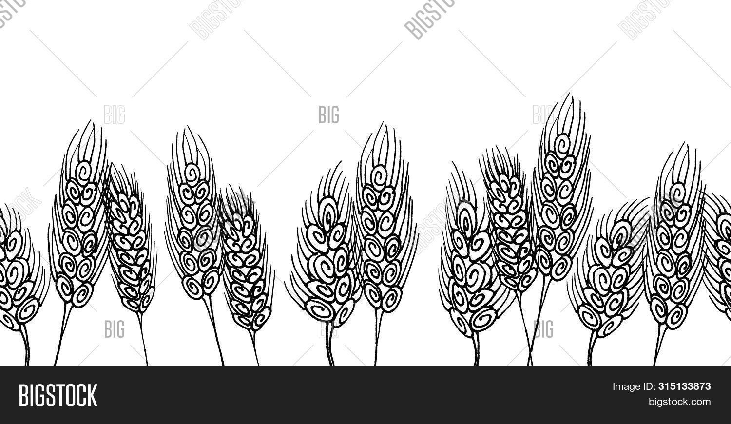 Black Outline Rye On Image & Photo (Free Trial) | Bigstock