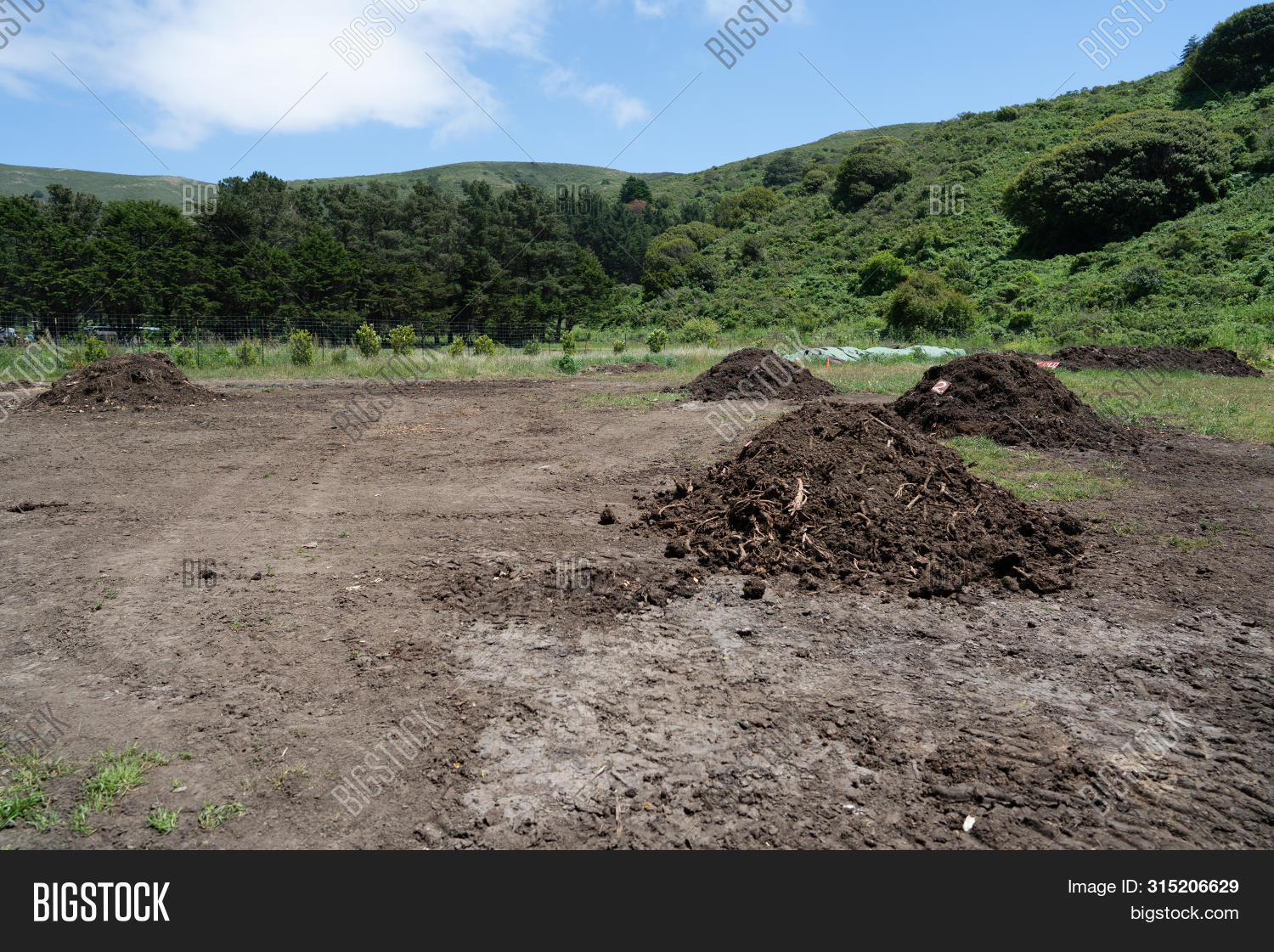 Large Mounds Manure Image & Photo (Free Trial) | Bigstock